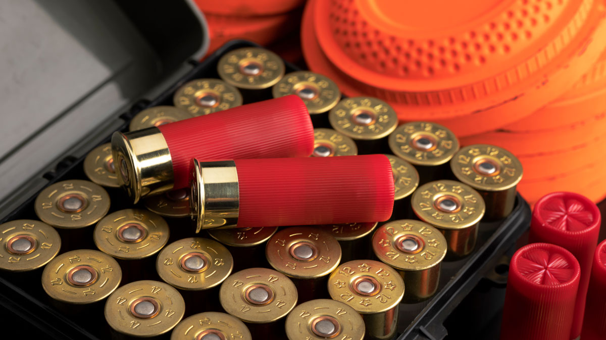 New Yorkers Now Must Pass Ammo Background Checks - News2A