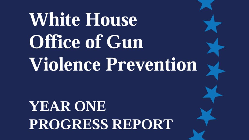 Office of Gun Violence Prevention Report Documents Infringements
