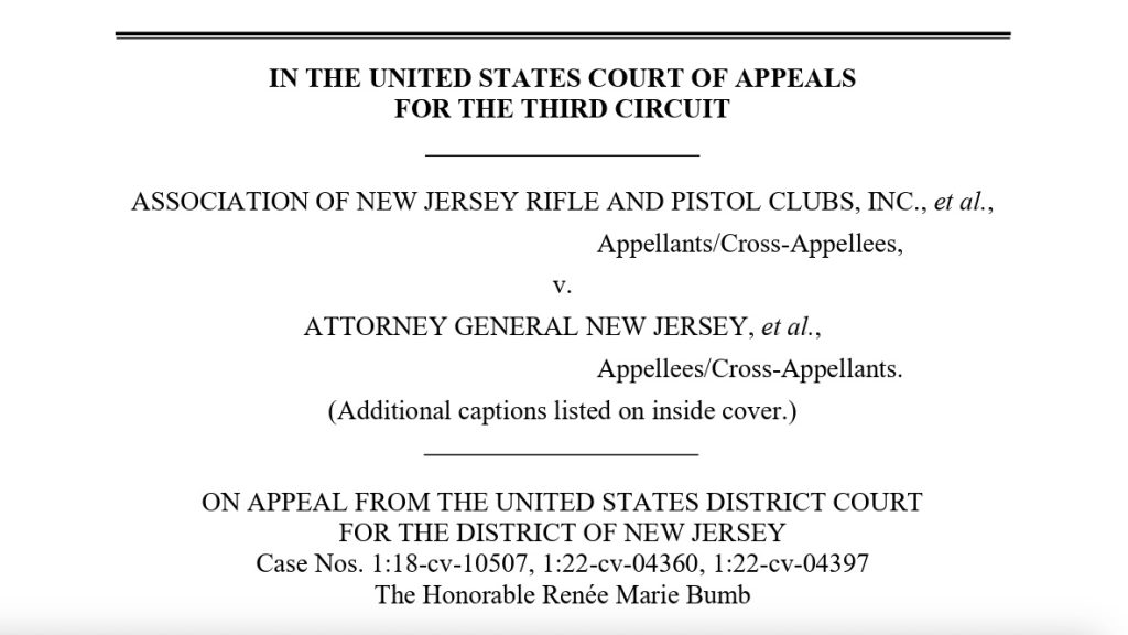 DOJ Enters the New Jersey AWB and Mag Ban Cases, Sets the Record ...